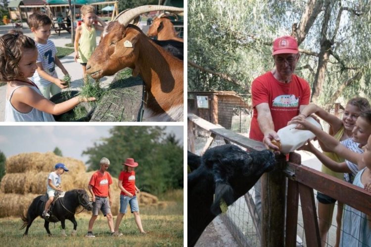 Top 10 activities to do with kids in Bucharest, Romania | TukTuk Travel ...